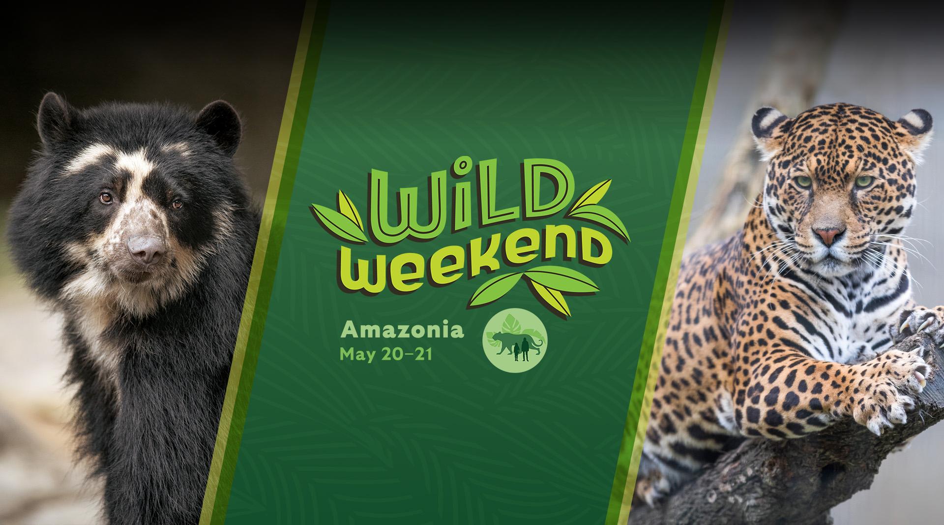 Wild Weekend Amazonia | San Diego Zoo